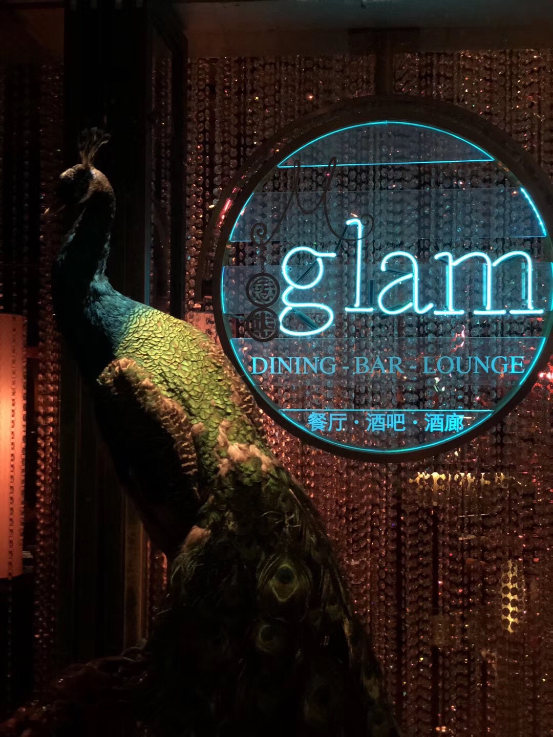 把艺术戴在身体！外滩5号Glam魅蓝 x Tera Feng跨界合作艺术首饰展上海开幕_凤凰网