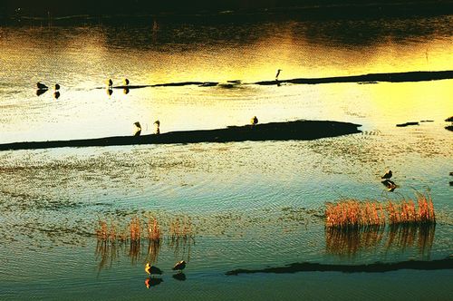 “十一”去哪儿？ 这些美景不容错过！_凤凰资讯